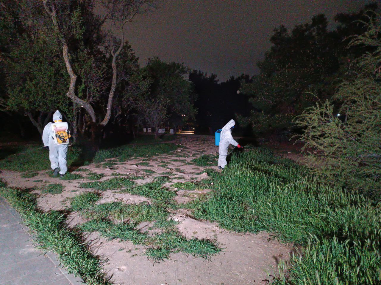 Обработку зелёных зон от клещей начали в Севастополе ::Первый Севастопольский