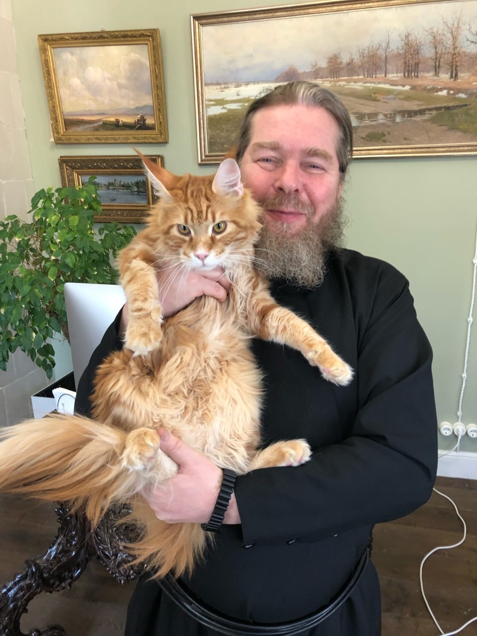 Кот митрополита Тихона Владыка тоже переедет в Крым ::Первый Севастопольский